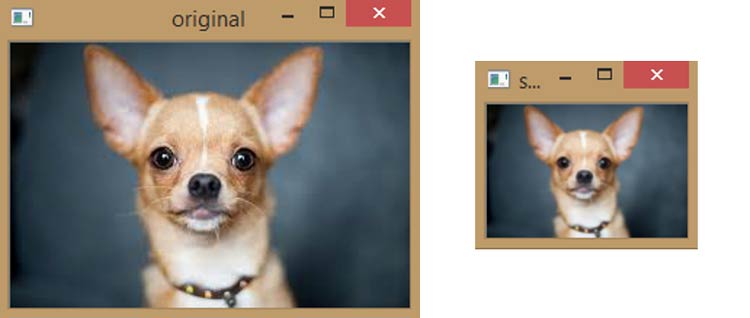 Opencv Resize Image Socialbinger